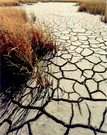 Ecodrought Synthesis Paper Mentioned in NIDIS' Drought.gov | North Central Climate Adaptation ...